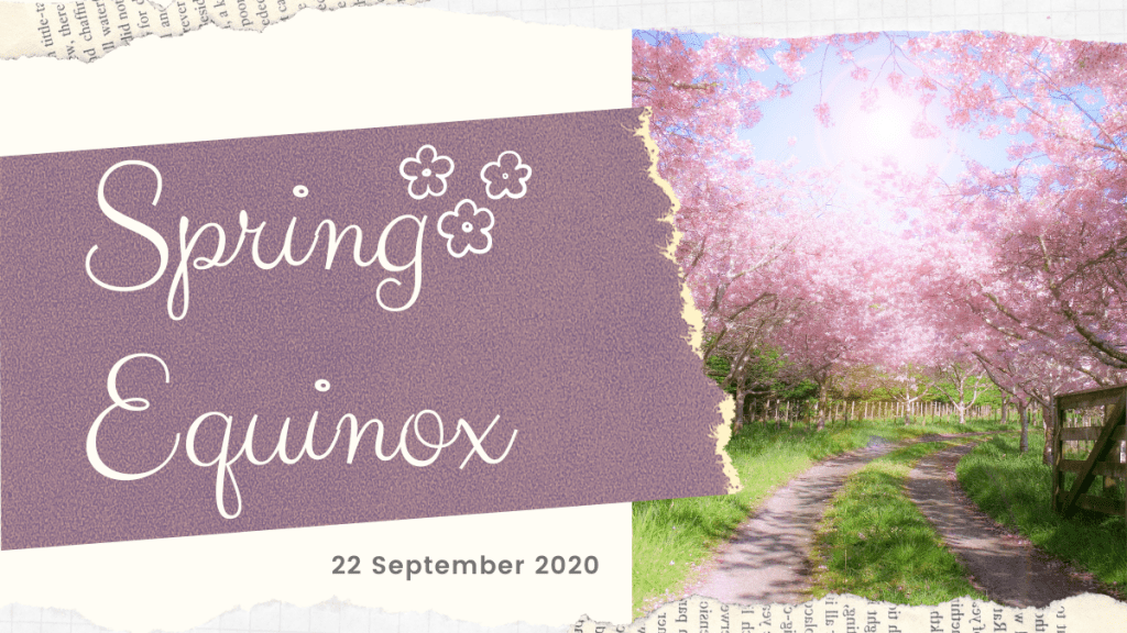 Returning to One’s Roots: Authentic Living in Harmony with Yourself ...